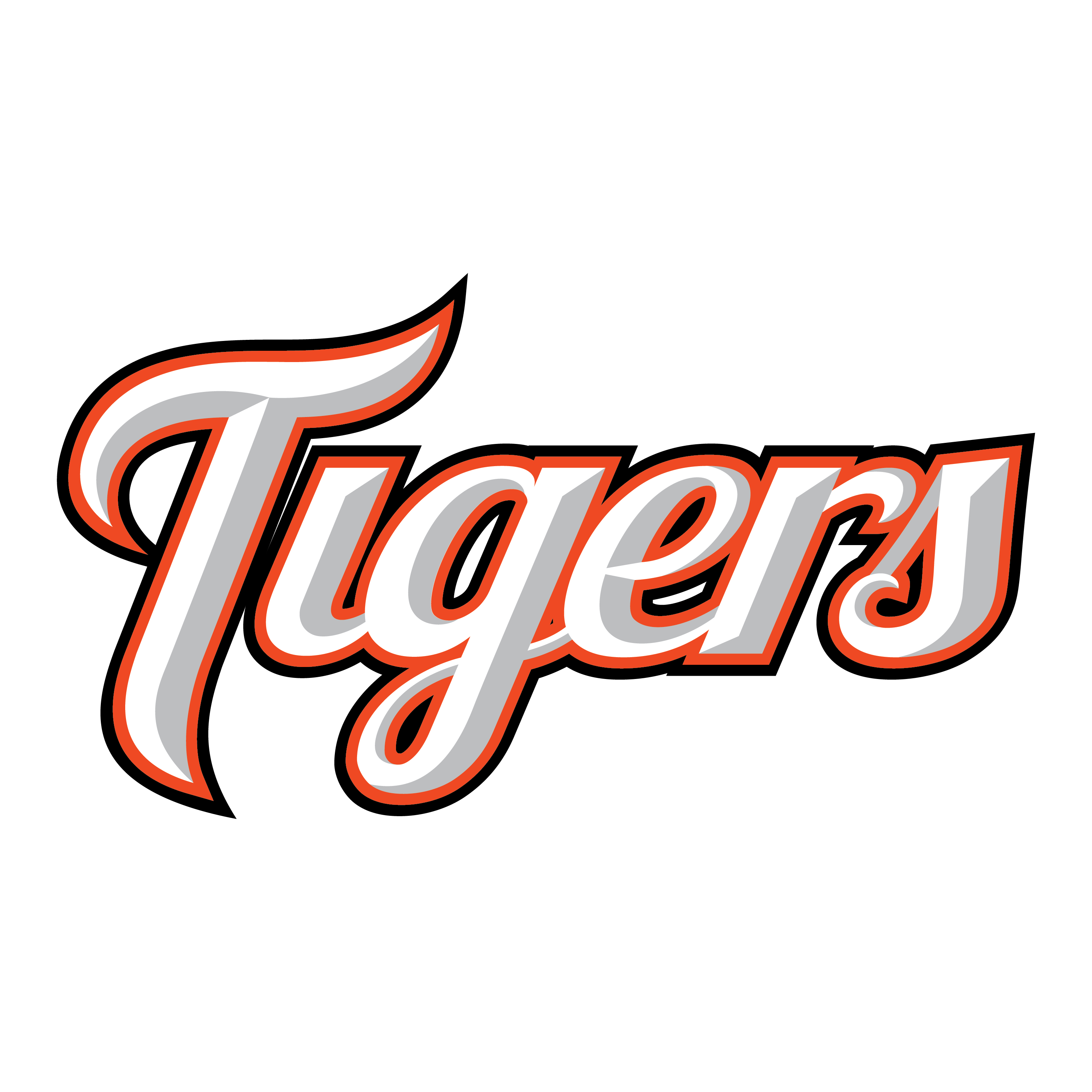 Illinois Tigers