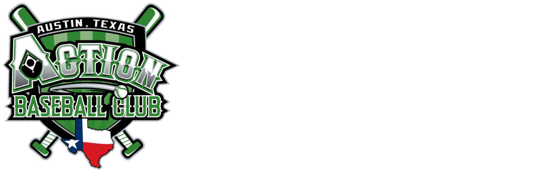 Booking | Action Baseball Club